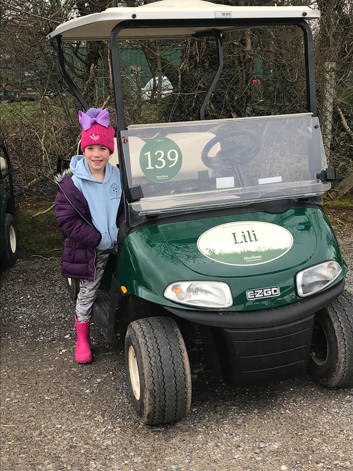 Do You Need A Golf Buggy At Bluestone