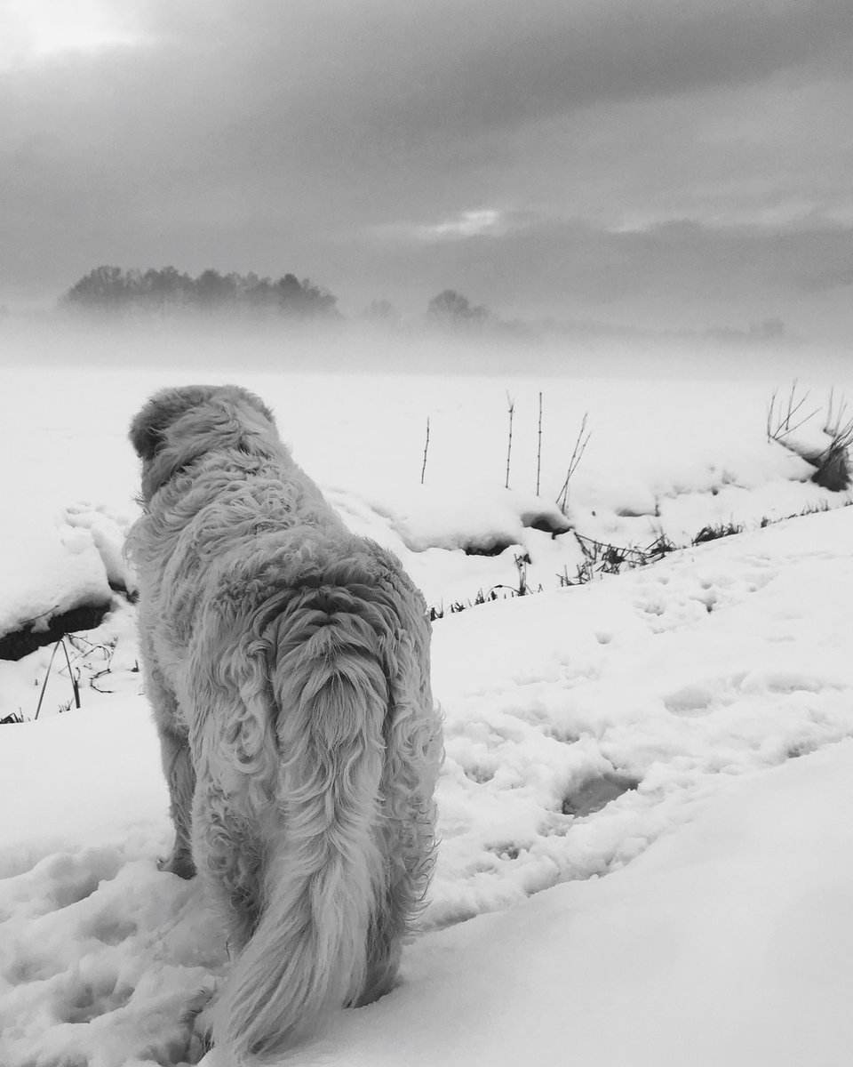 665 best Longing images on Pholder | Art, Aww and Pics