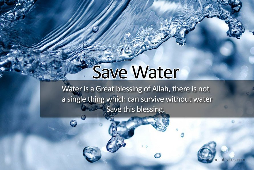 Save Water Quote World Water Day Sanskrit Quote From RigVeda