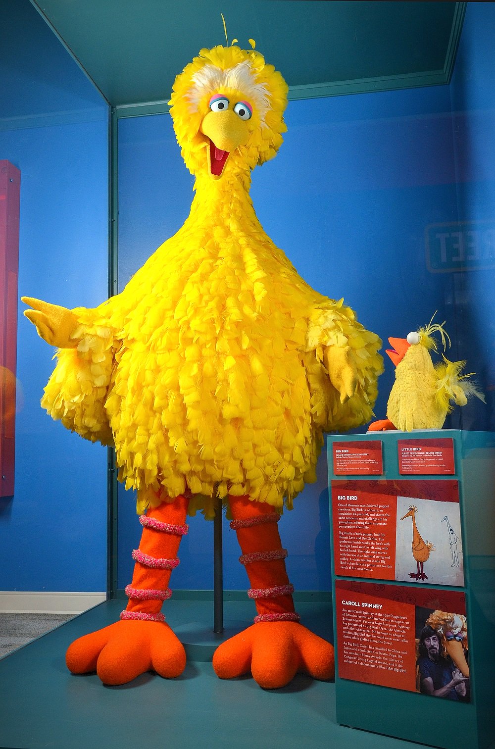 Big Bird How It Works