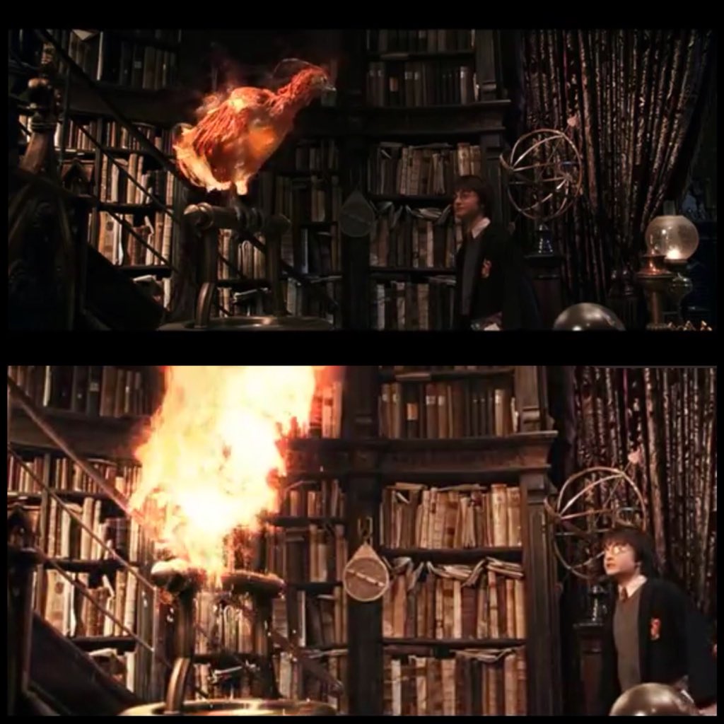 Phoenix Harry Potter Rebirth