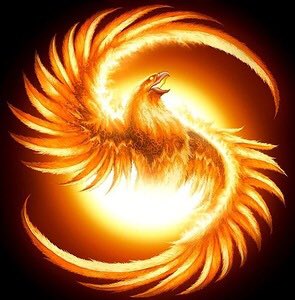 Phoenix Harry Potter Rebirth
