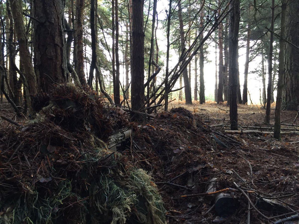 Think like tree! can you see the sniper pair? we use forests and woods ...