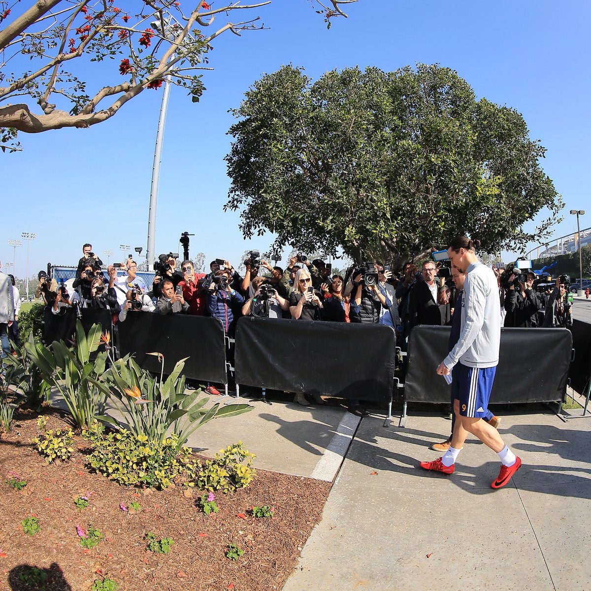 145 best Twitter @ibra_official images on Pholder | Merry Chriztmaz