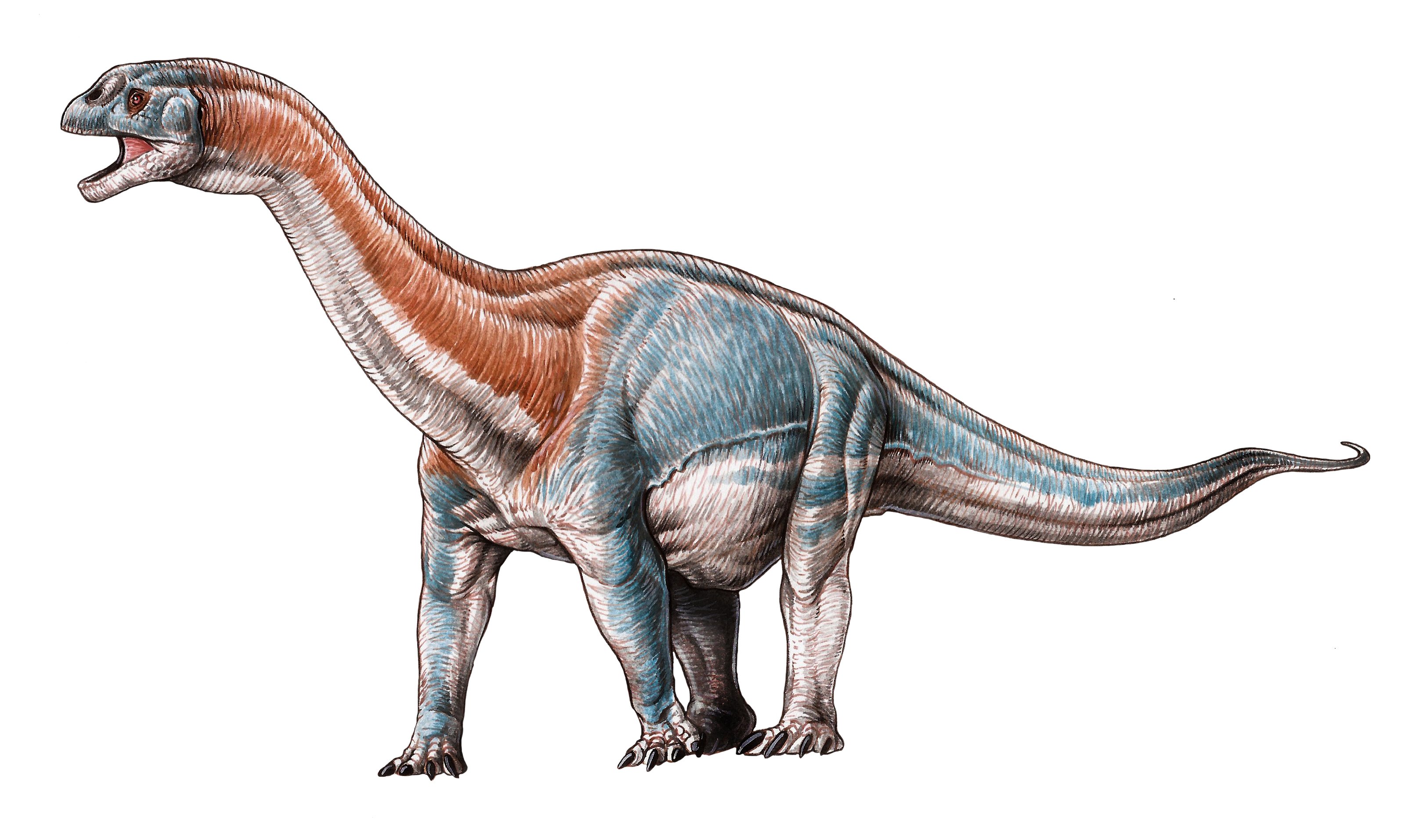 Patagosaurus