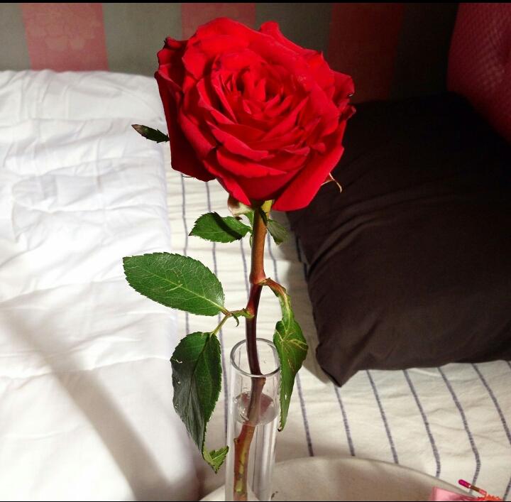 Ruqaiya-Al_Zadjali (@HappyPrince201) | Twitter Ruqaiya-Al_Zadjali (@HappyPrince201) | Twitter