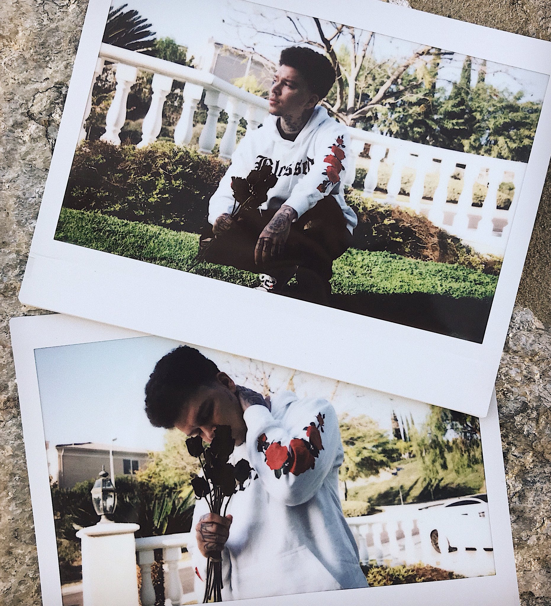 PHORA on Twitter: "My love for you, is like a rose, that never dies, but only grows...…