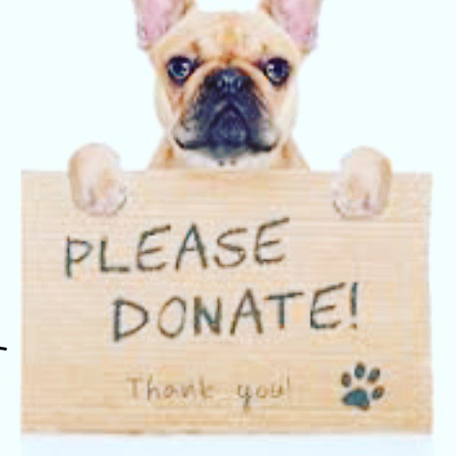 Please Donate Dog