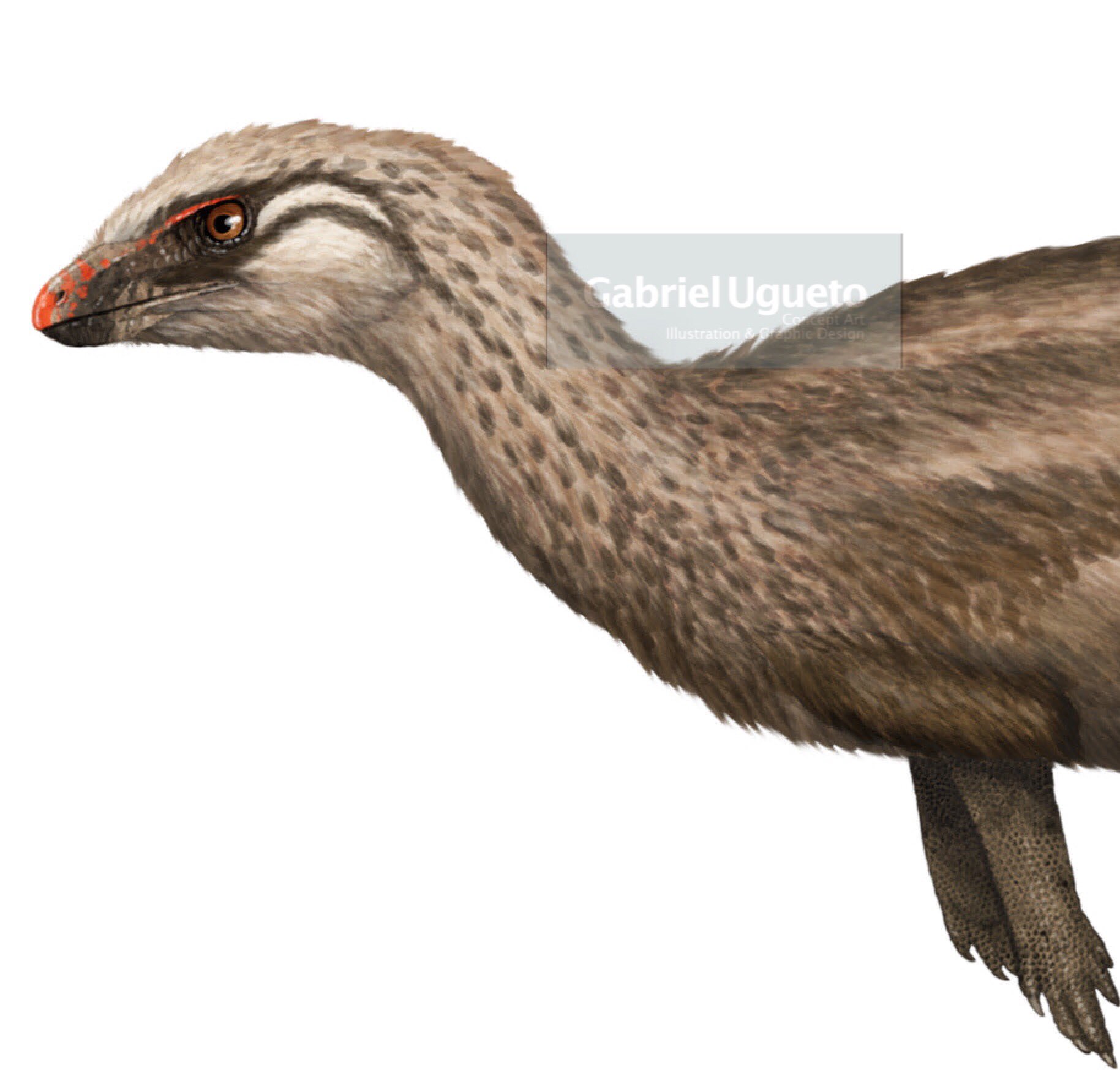 Lesothosaurus