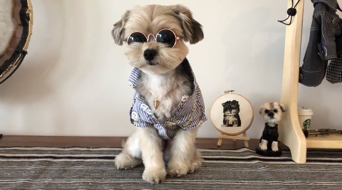 5 best Twitter @phantogram images on Pholder | The one that started it ...