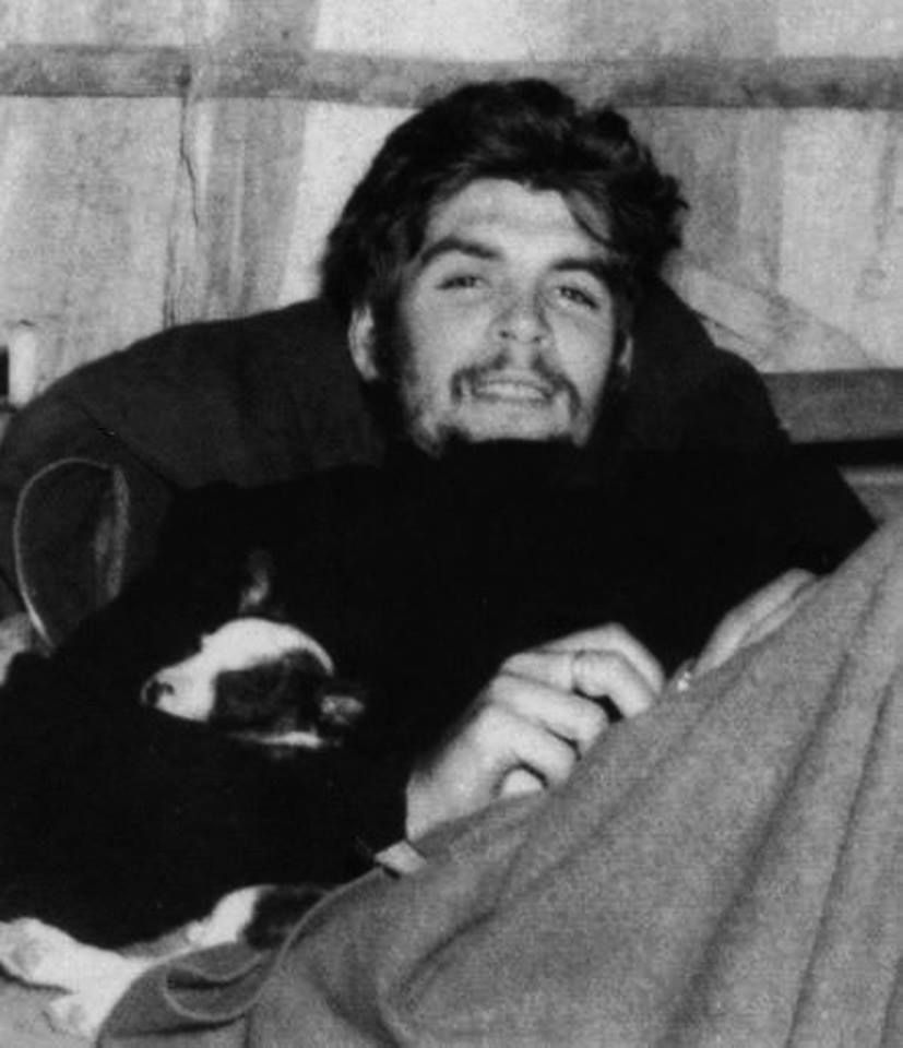 It's NationalPuppyDay! Here are photos of Fidel Castro and Che Guevara ...