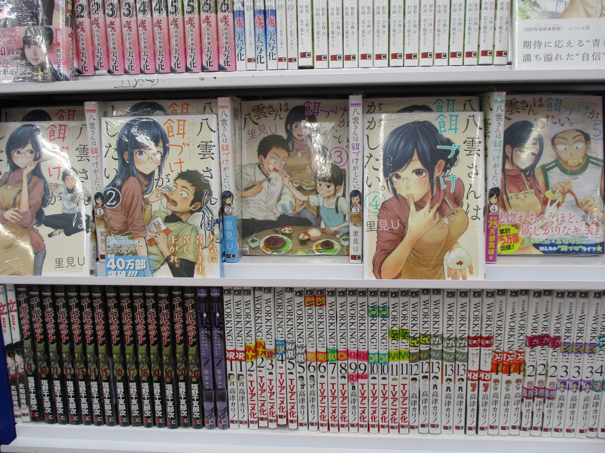 アニメイト池袋本店 On Twitter 【新刊発売情報】 うちの隣にも住んでいてほしい / ヤングガンガンコミックス『#八雲さんは