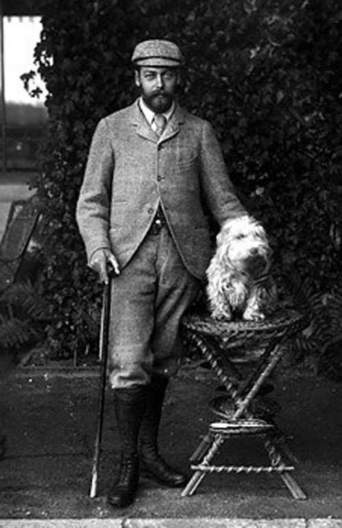 Did Kaiser Wilhelm Keep Dogs