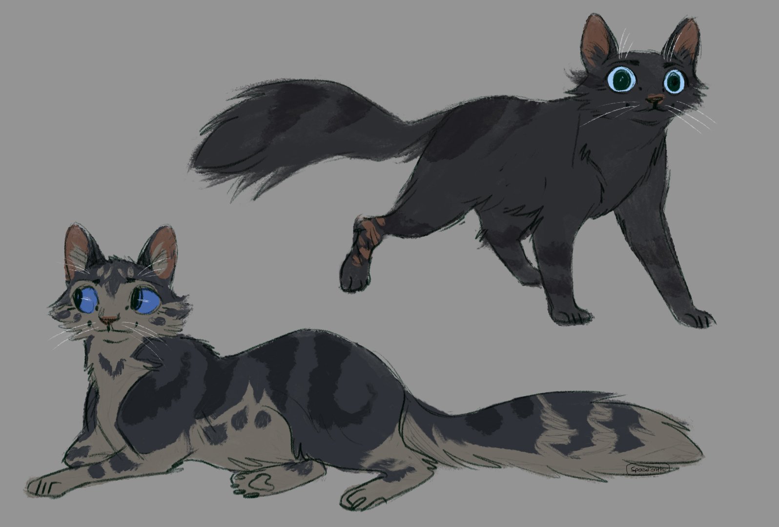 Warrior Cats Cinderheart And Cinderpelt
