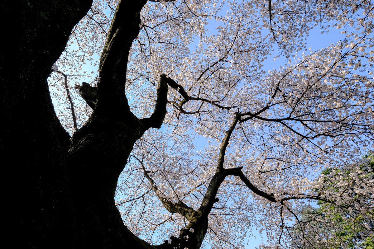 krd.@style89 (@krd_style89) | Twitter