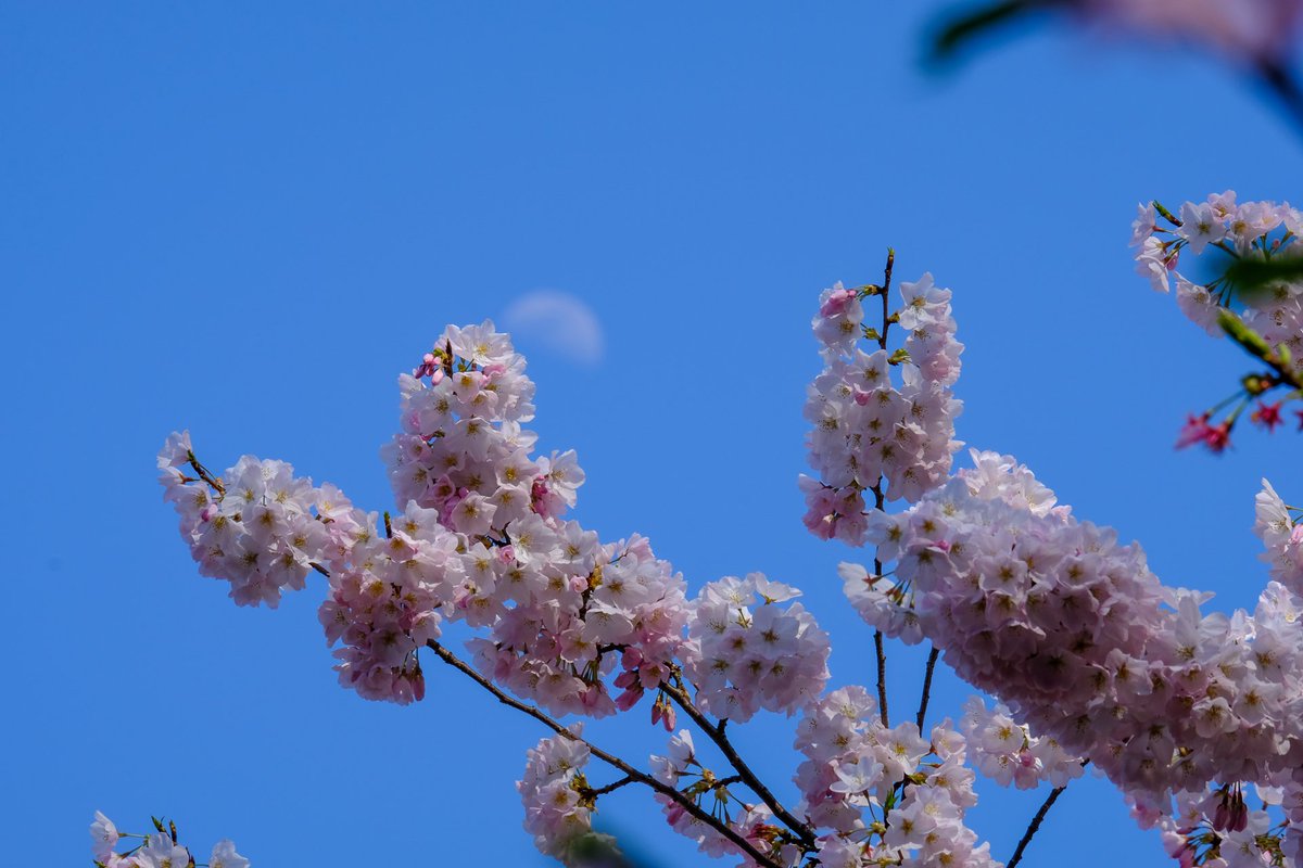 krd.@style89 (@krd_style89) | Twitter