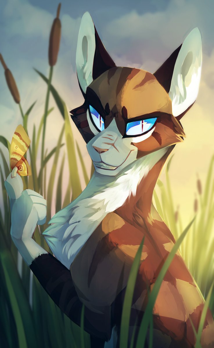 Hawkfrost Warrior Cats