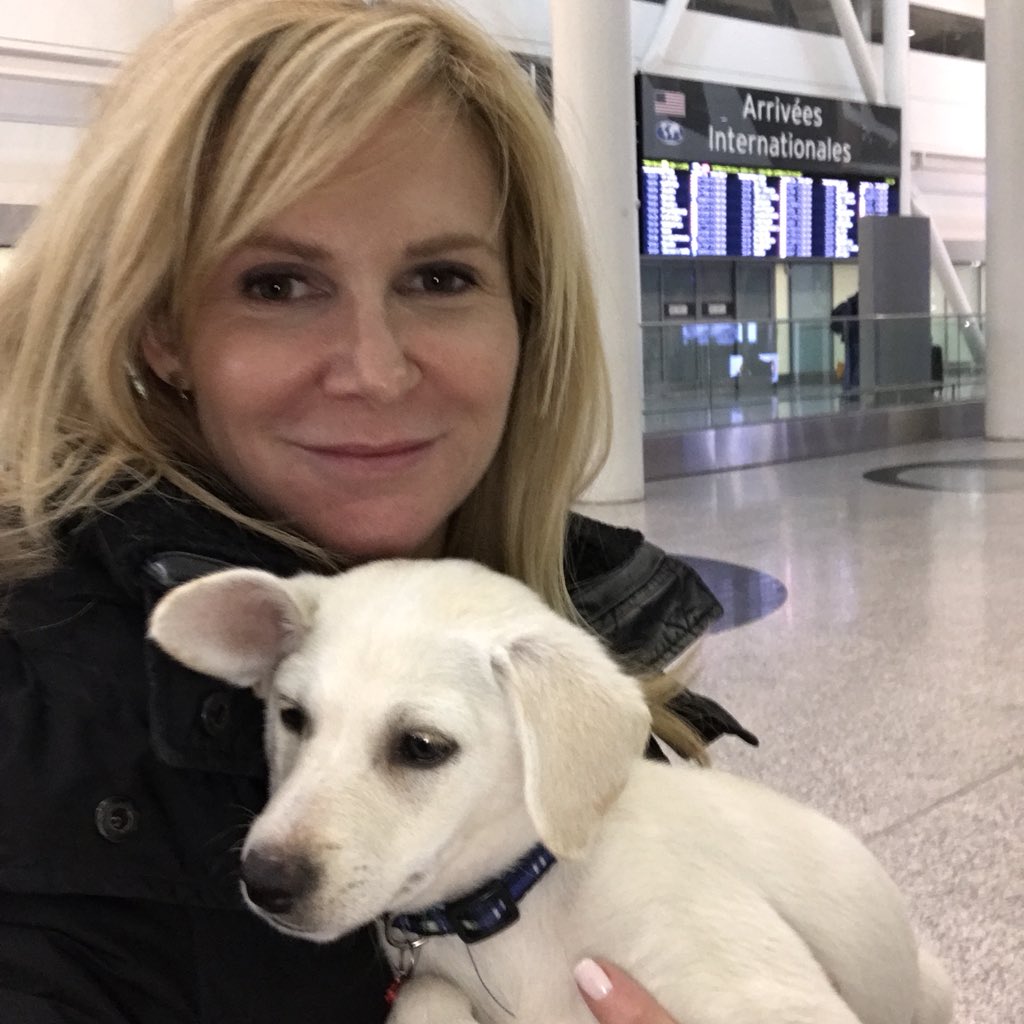 angel rescuepup Mexico picked FosterMom told ForeverFamily Kingston ...