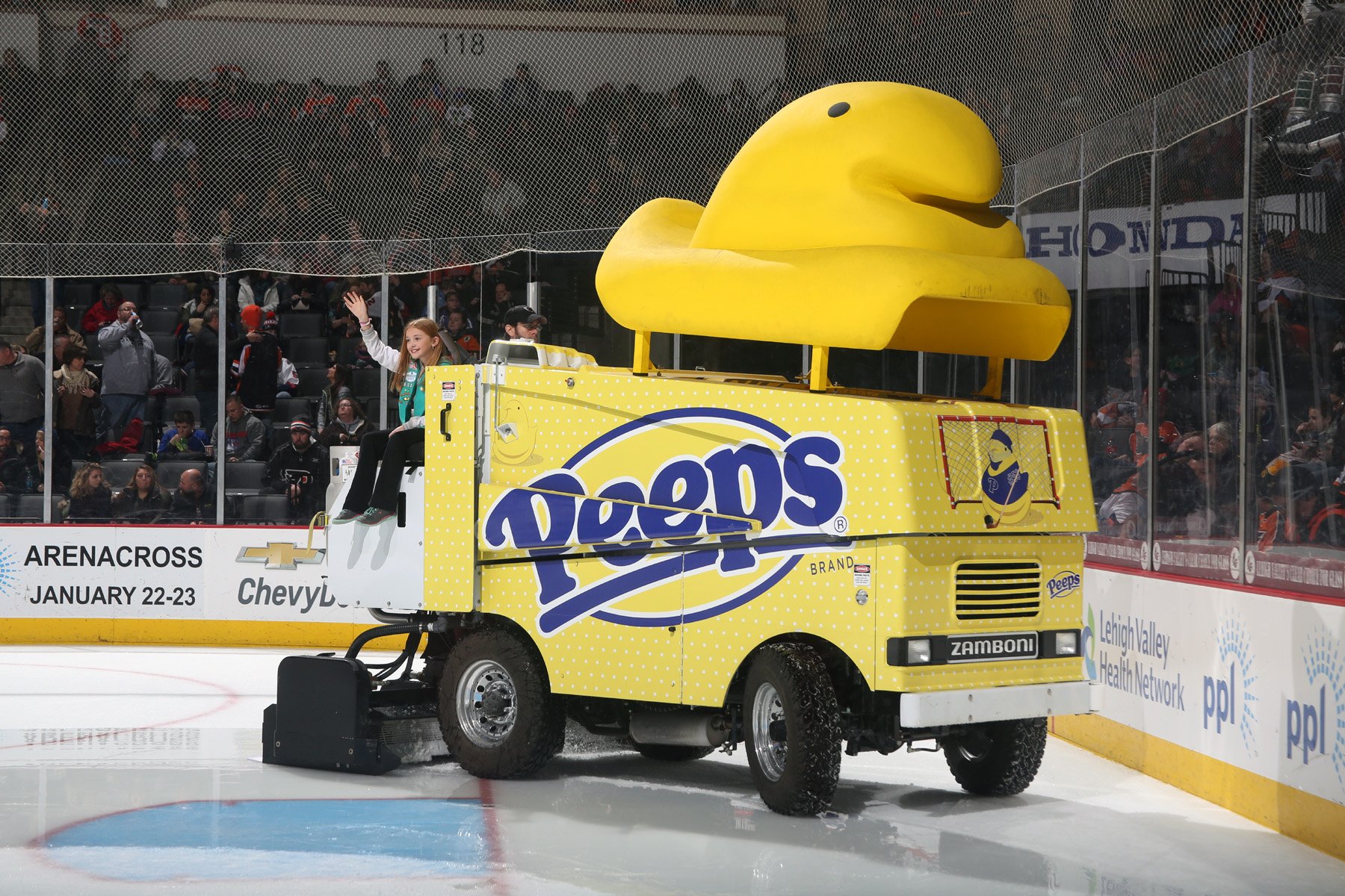 Zamboni Quotes Zamboni SVG Cut File By Creative Fabrica Crafts