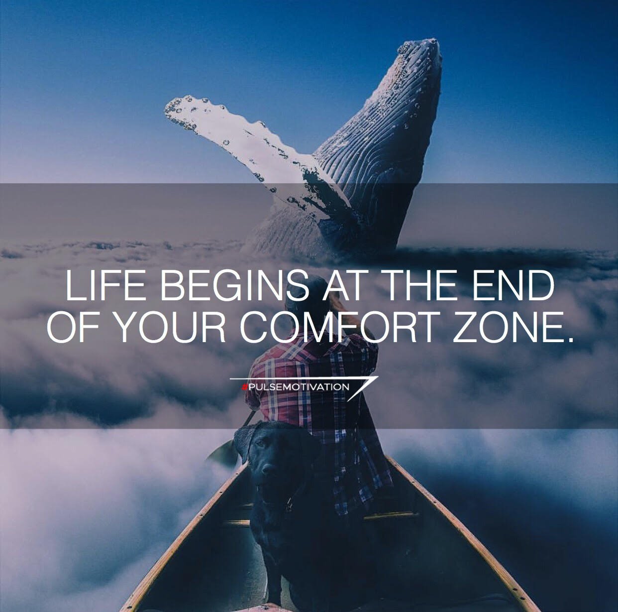Life Begins At The End Of Your Comfort Zone Wallpaper