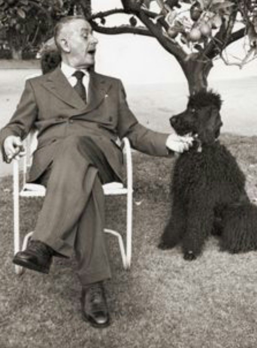 Roee Bar-On Rotman on Twitter: "חוליו קורטסאר וחבר…