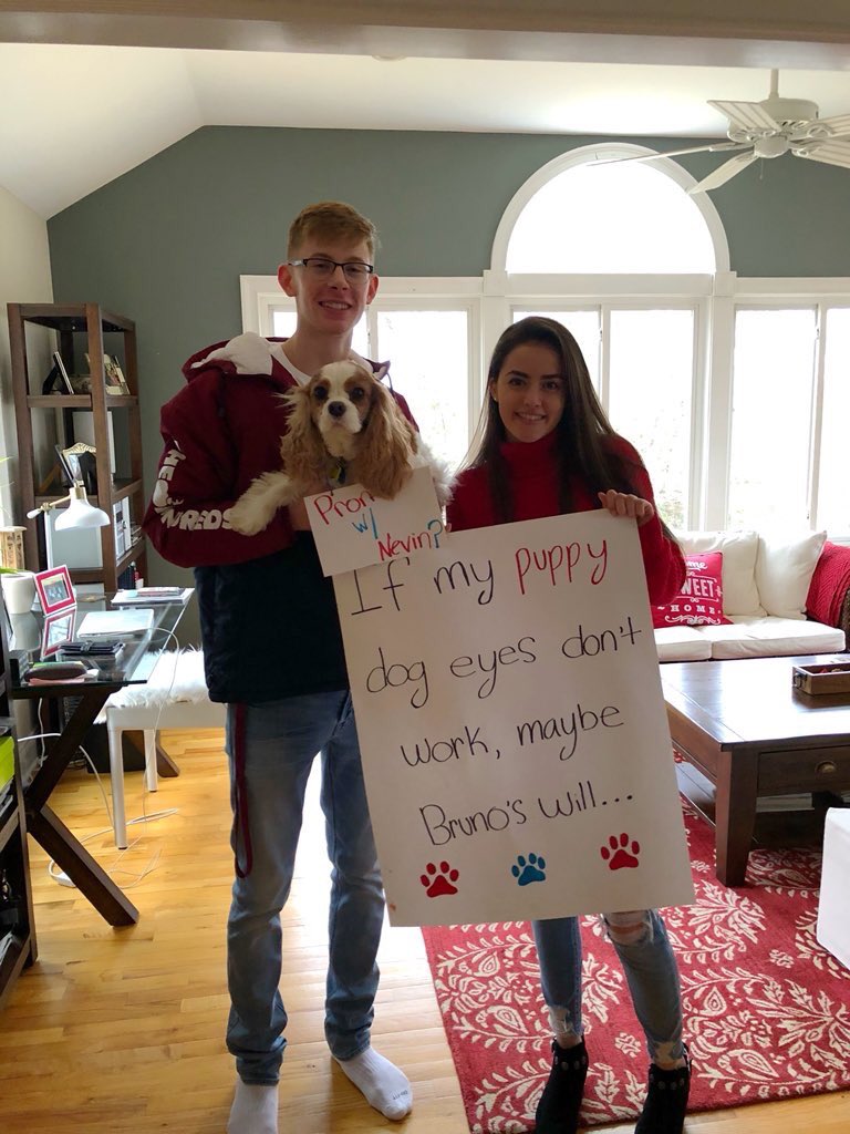 Puppy Prom Proposal