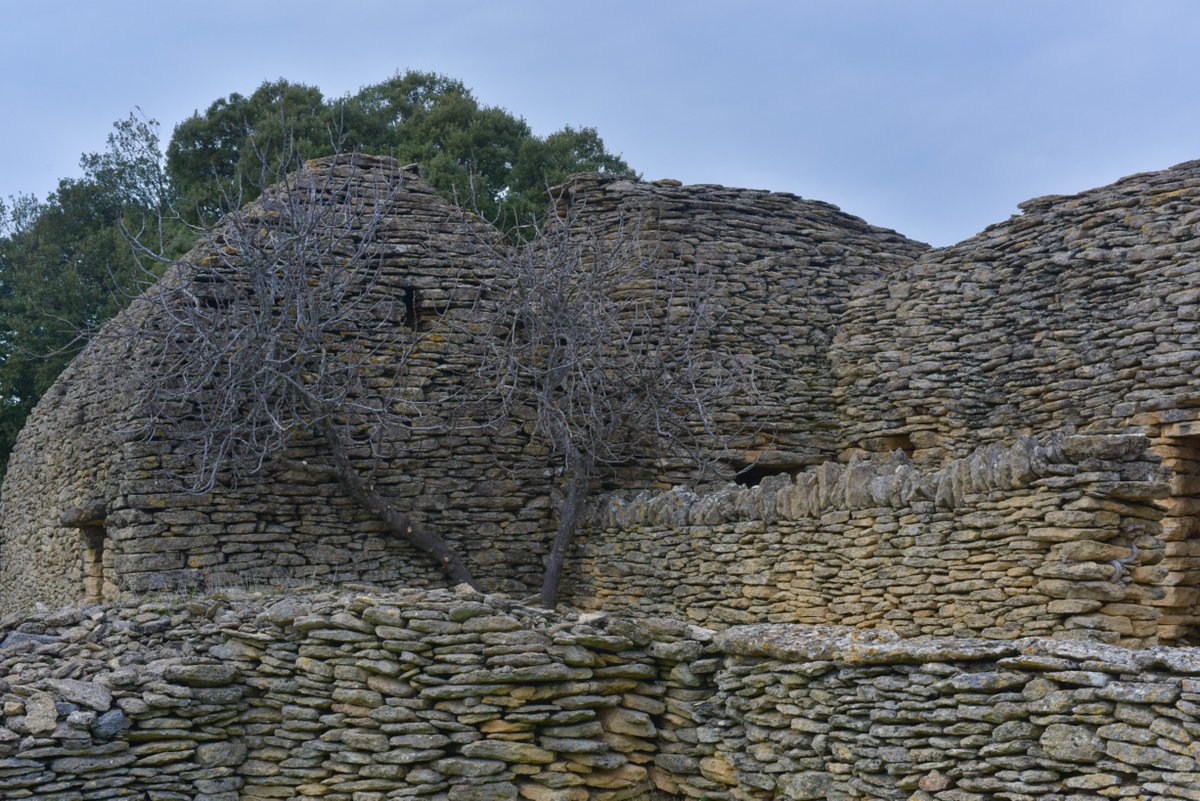 daniel Fabre (@fabredaniel) | Twitter