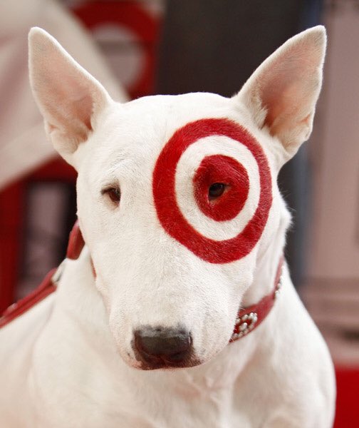 What Does The Target Dog Look Like