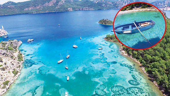 Aysun Alp (@Aysun_Alp) | Twitter