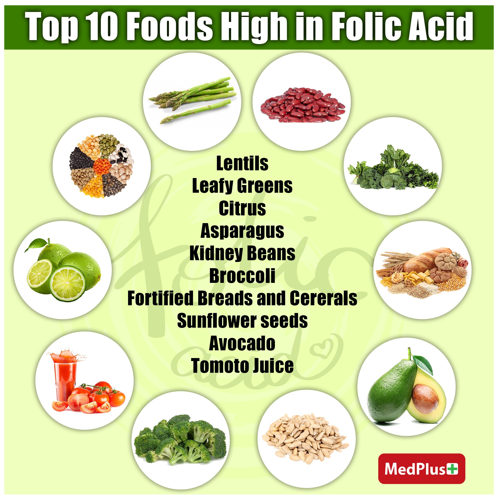 Folic Acid Foods
