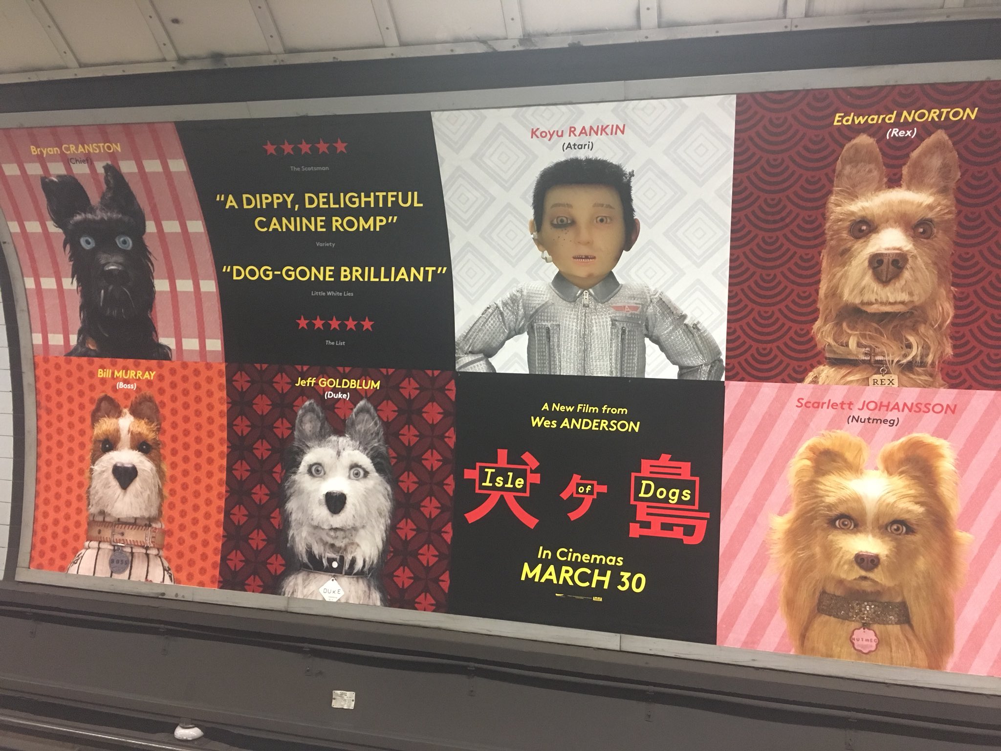 What Kind Of Dog Is Boss In Isle Of Dogs