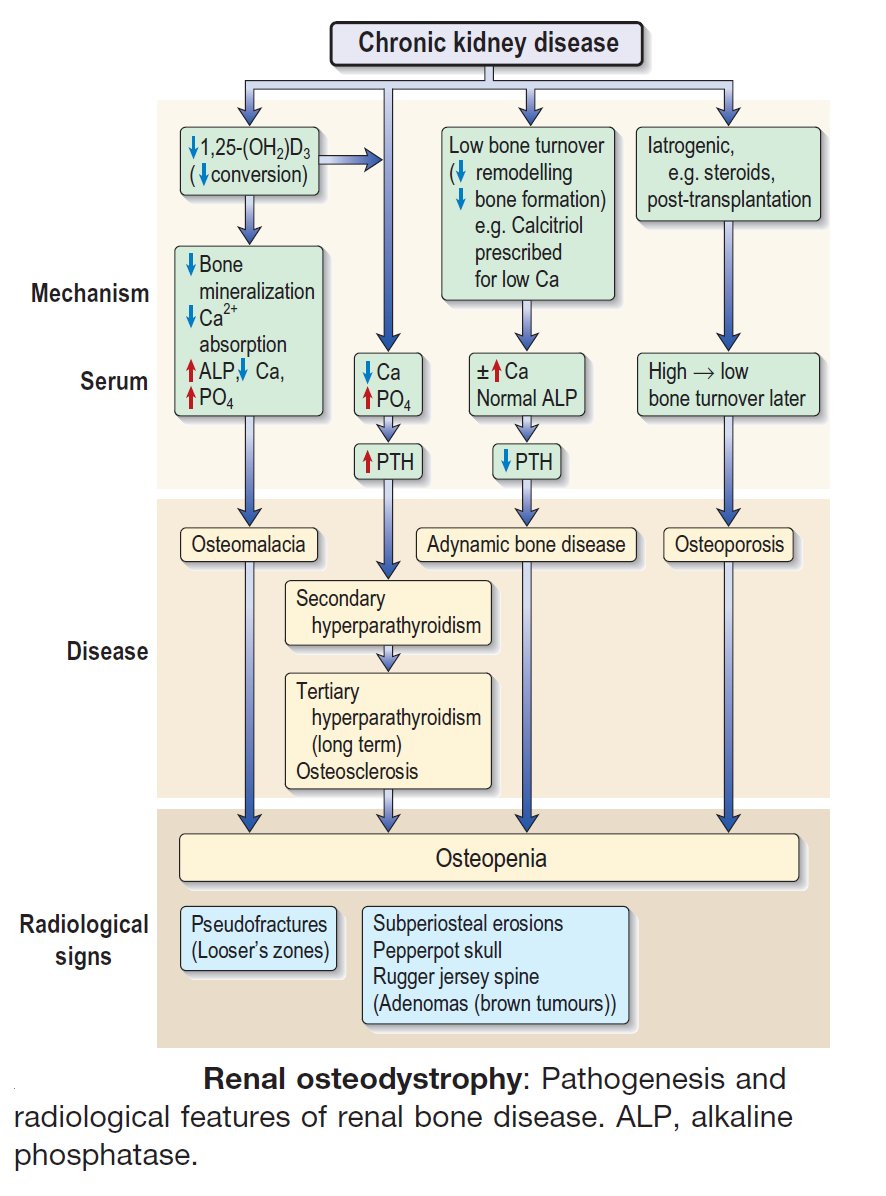 Renal Osteodystrophy Diagram