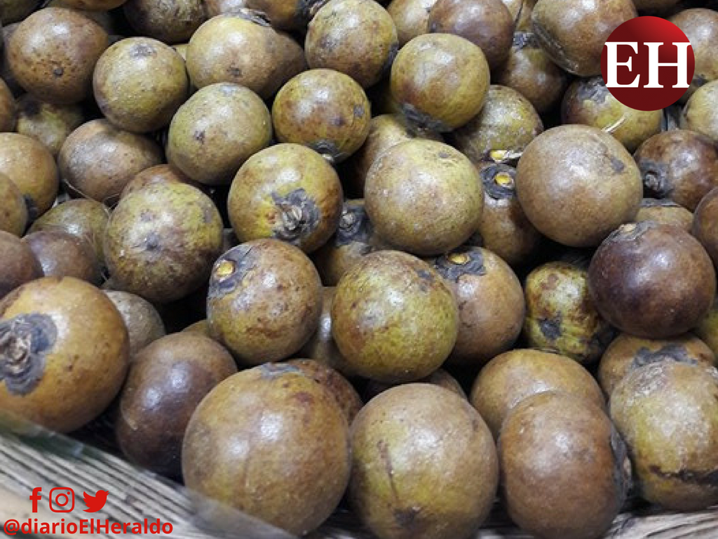 ¿a qué te recuerdan estos coyoles? #comparte - scoopnest.com