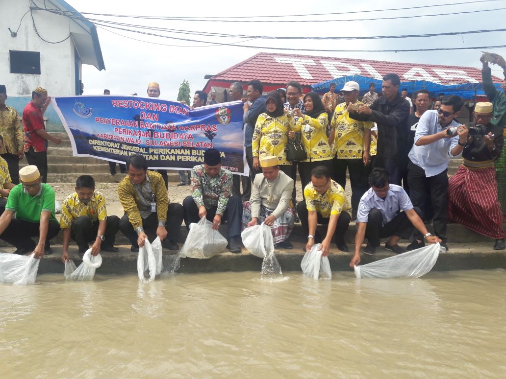 sofyan ali saputra (@sofyanalisaputr) | Twitter