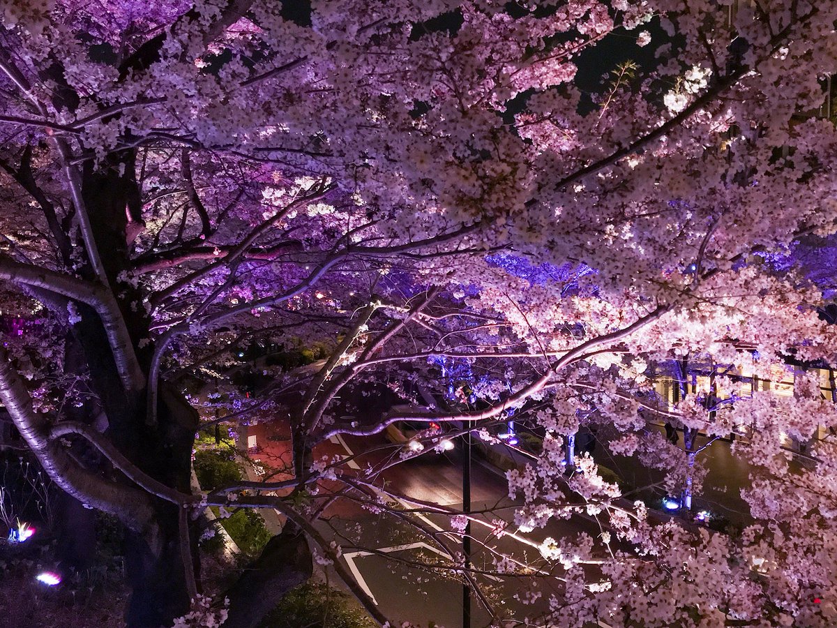 krd.@style89 (@krd_style89) | Twitter