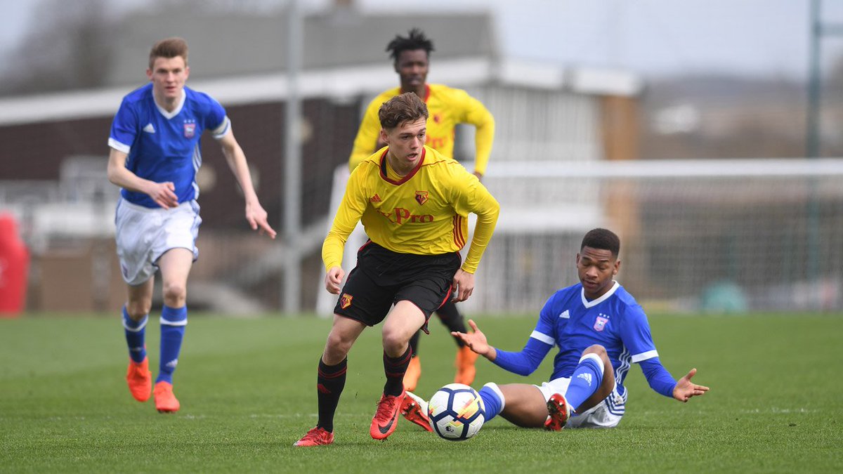 Harry Forster's Instagram, Twitter & Facebook on IDCrawl