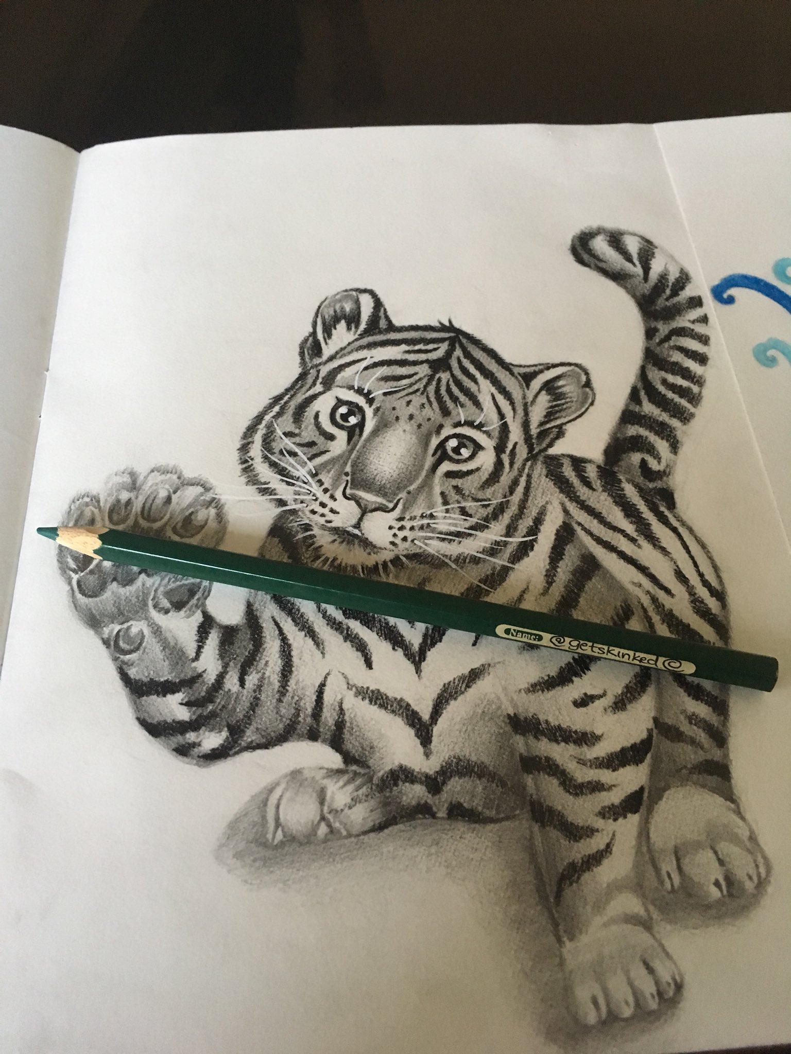 Pencil Drawings Of Tigers Cubs
