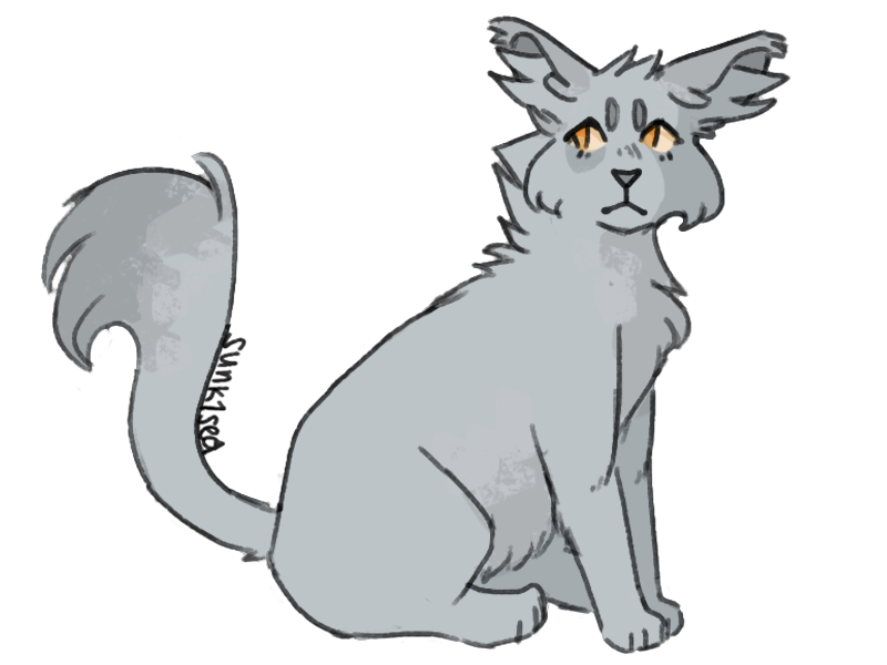 Warrior Cats Featherwhisker