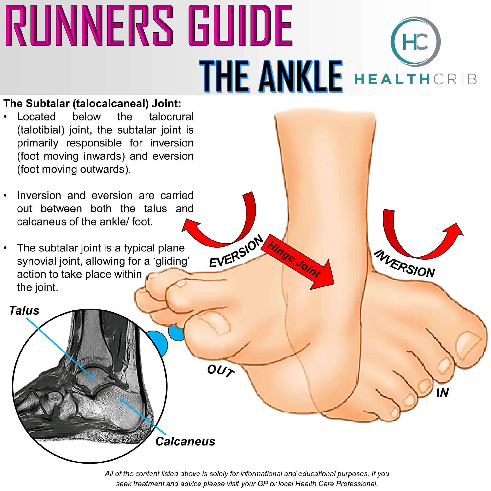 Inversion And Eversion