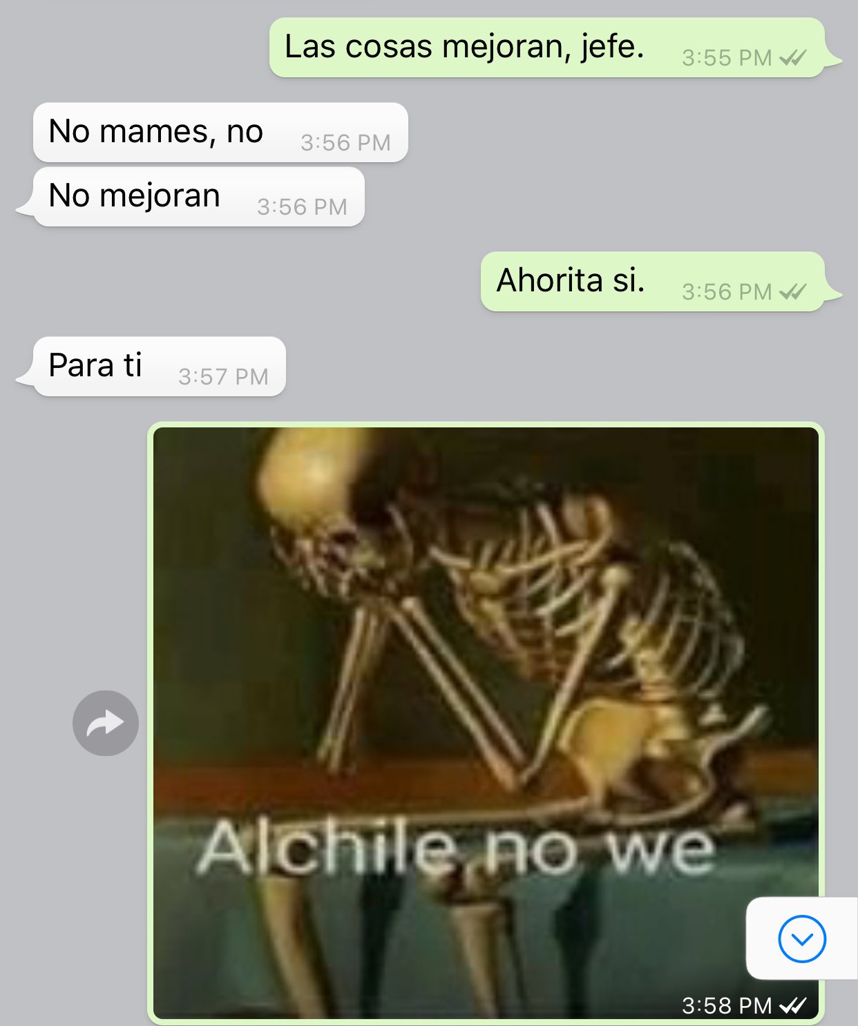 Memes Al Chile