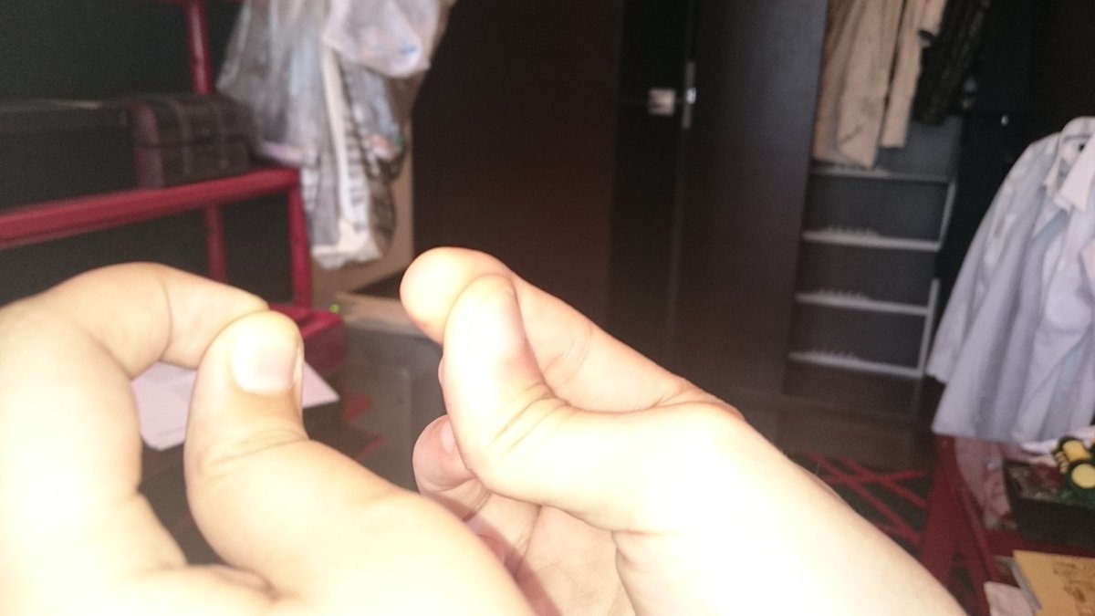 れぉ (@Leo_Physalis) | Twitter