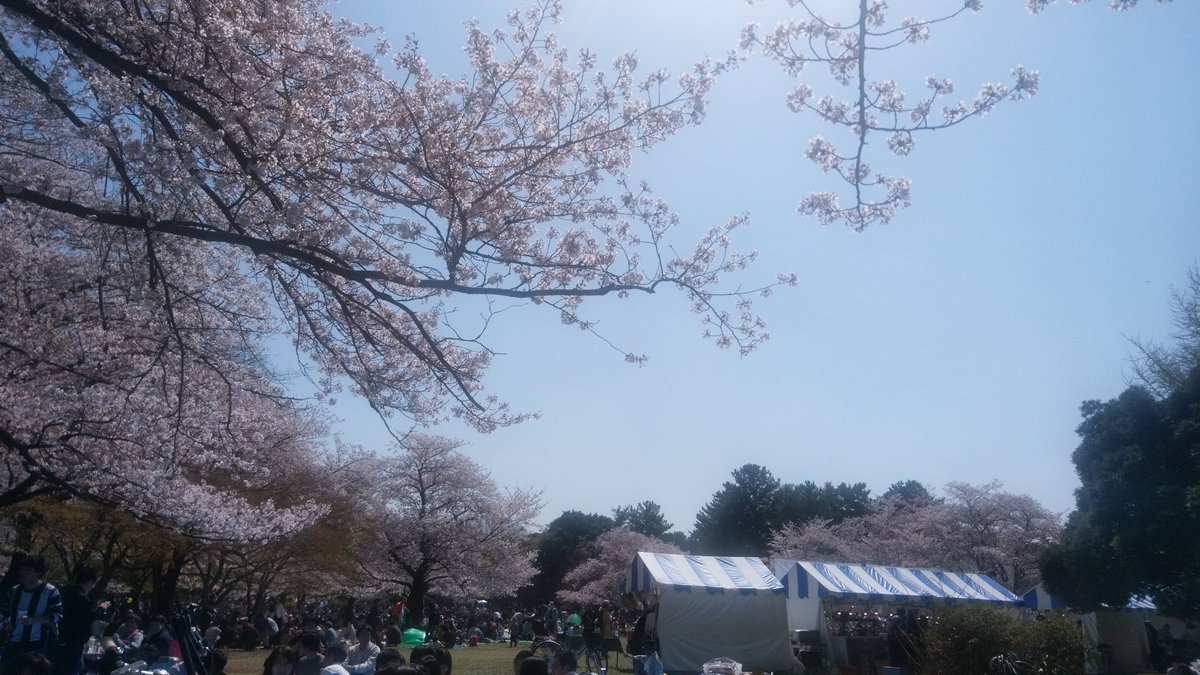 絶品グルメ☆屋台祭り＆光が丘POPカルチャーフェスタ2018 (7ページ目) - Togetter