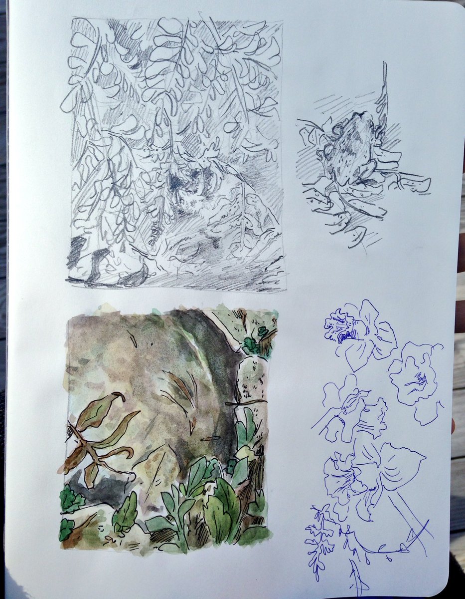 「Now that the Tim'rous Beastie anthology books are going out,」Natalie ...