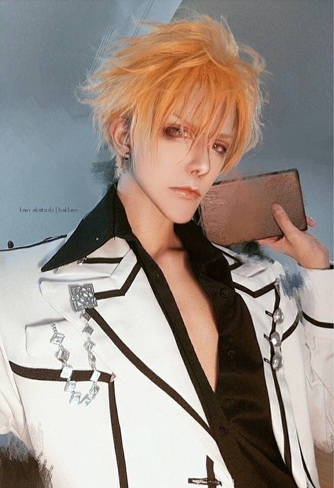 Vampire Knight Akatsuki Kain