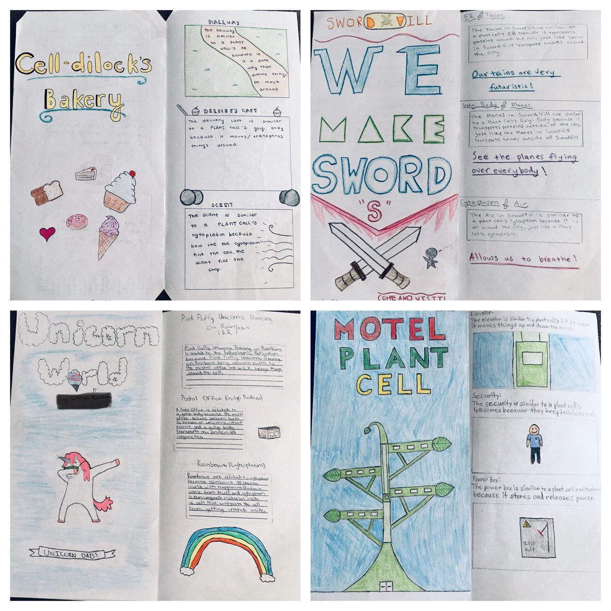 Cell Booklet Project