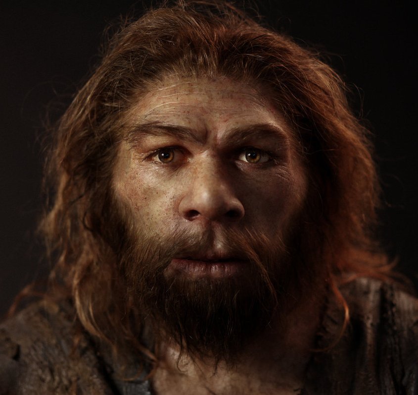 Neanderthal Reconstruction