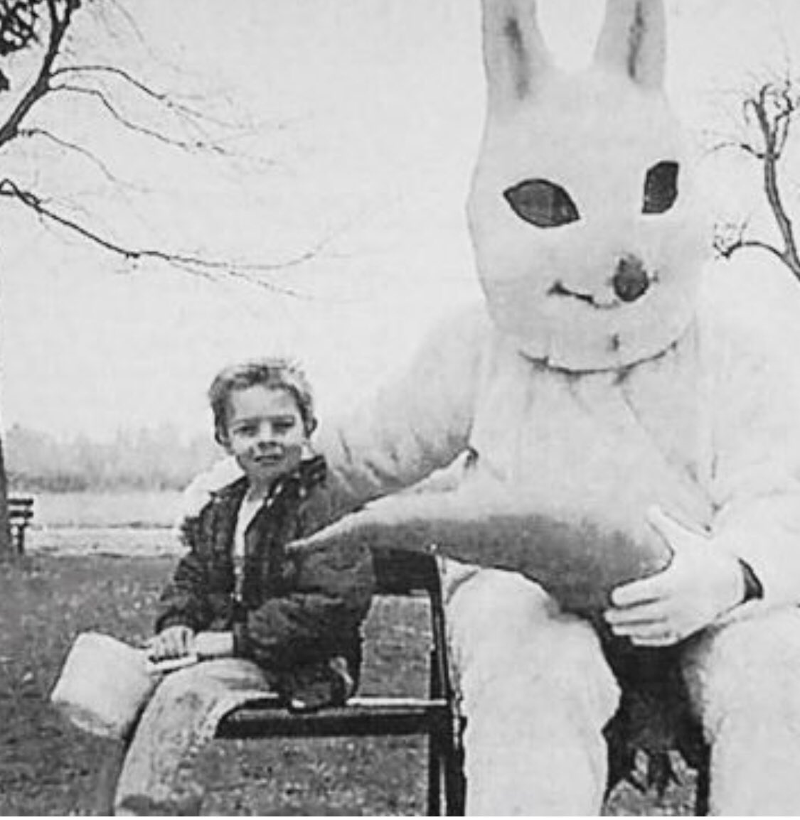 Scary Bunny Pictures