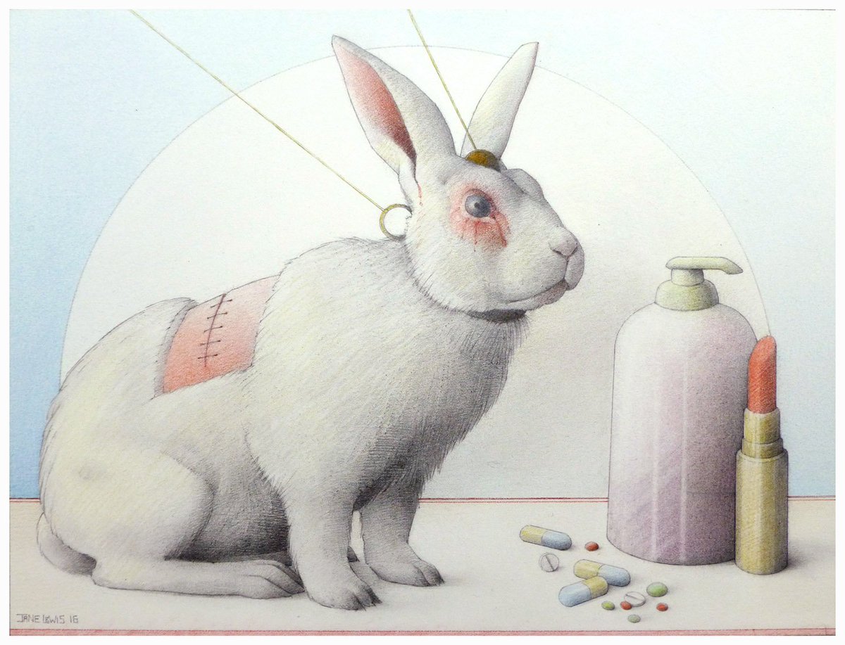 Animals are not human property! – TP Times