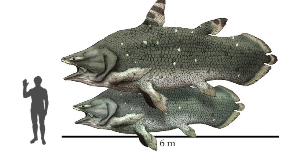 Spinosaurus Then vs. Now : r/Dinosaurs
