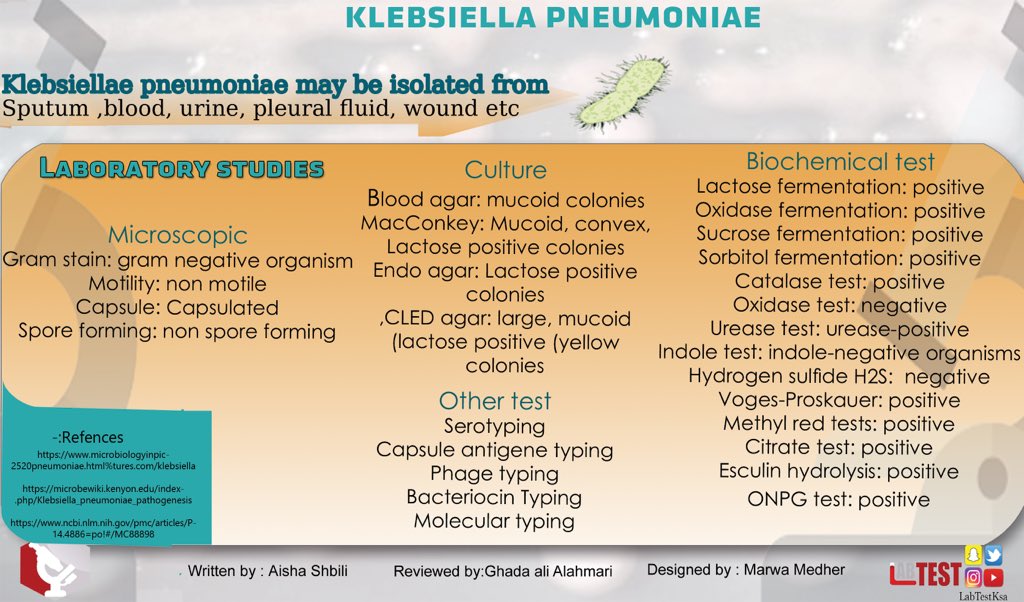 Klebsiella Pneumoniae Sputum